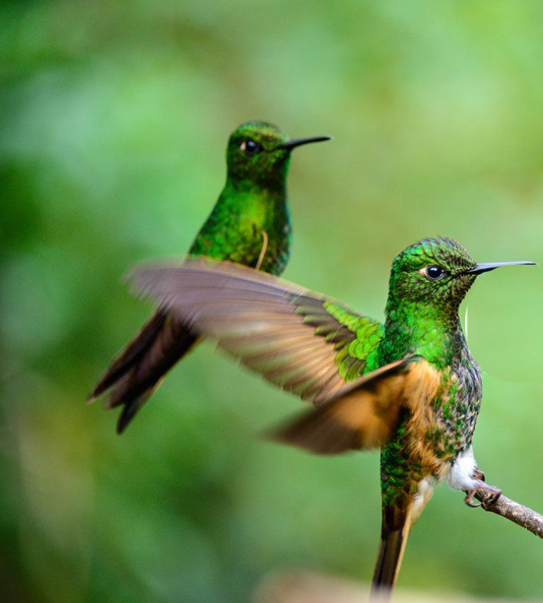 Linen Awareness Rounding – A Chance to Act